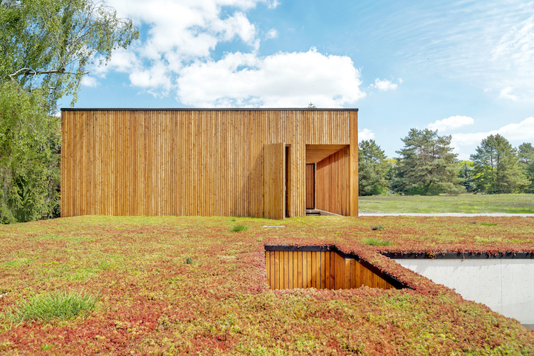 A Neophyte Architect Cuts His Chops With His First Solo Project In A ...