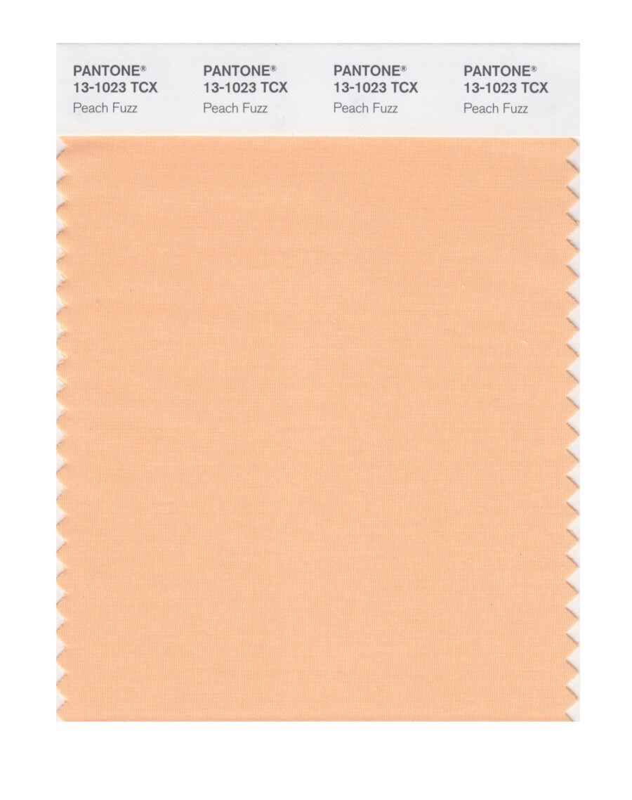 Peach Fuzz: A Closer Look At The Pantone Color of the Year 2024