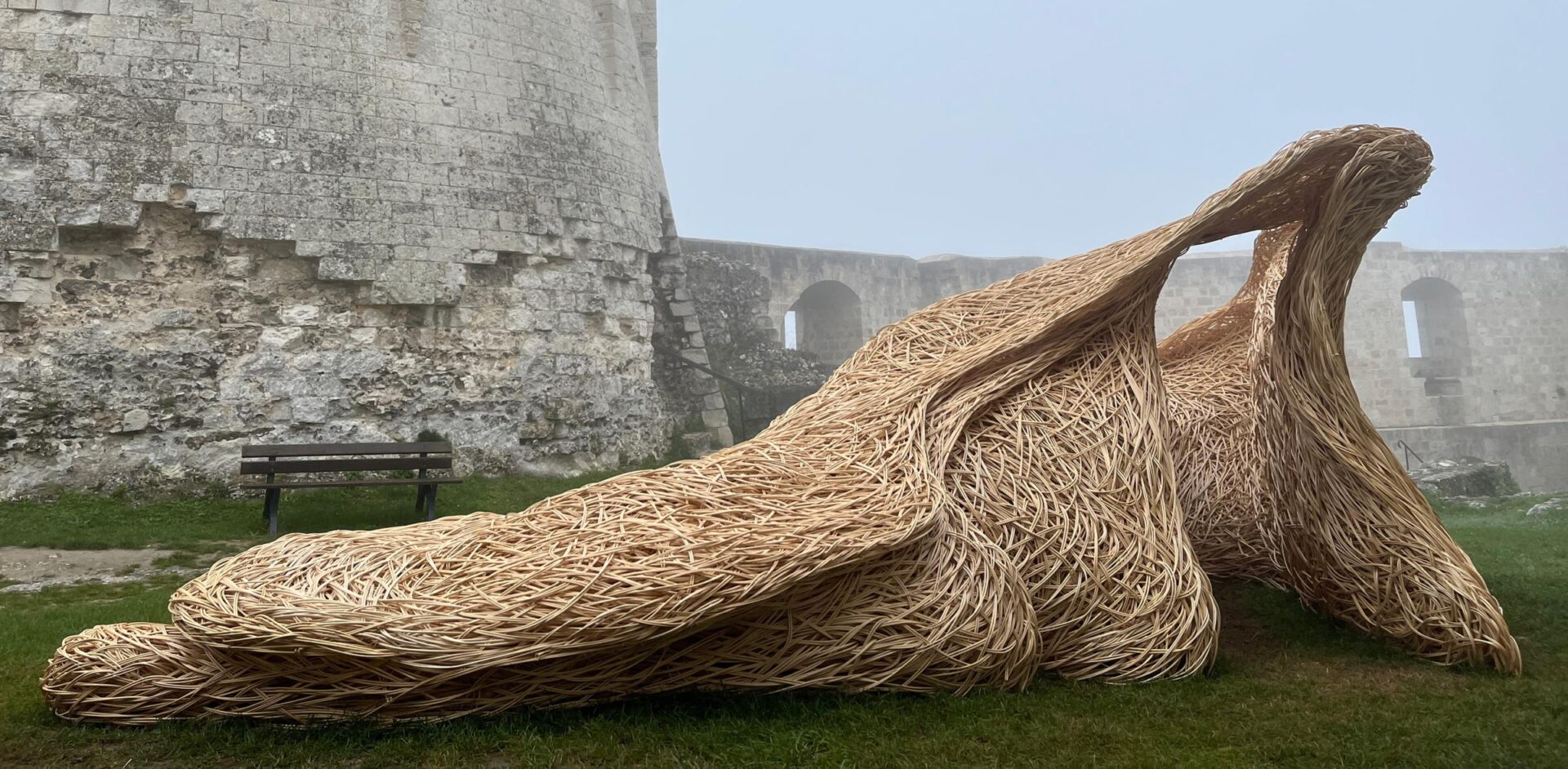 Denver Art Museum Presents Laura Ellen Bacon’s First U.S. Solo Art ...