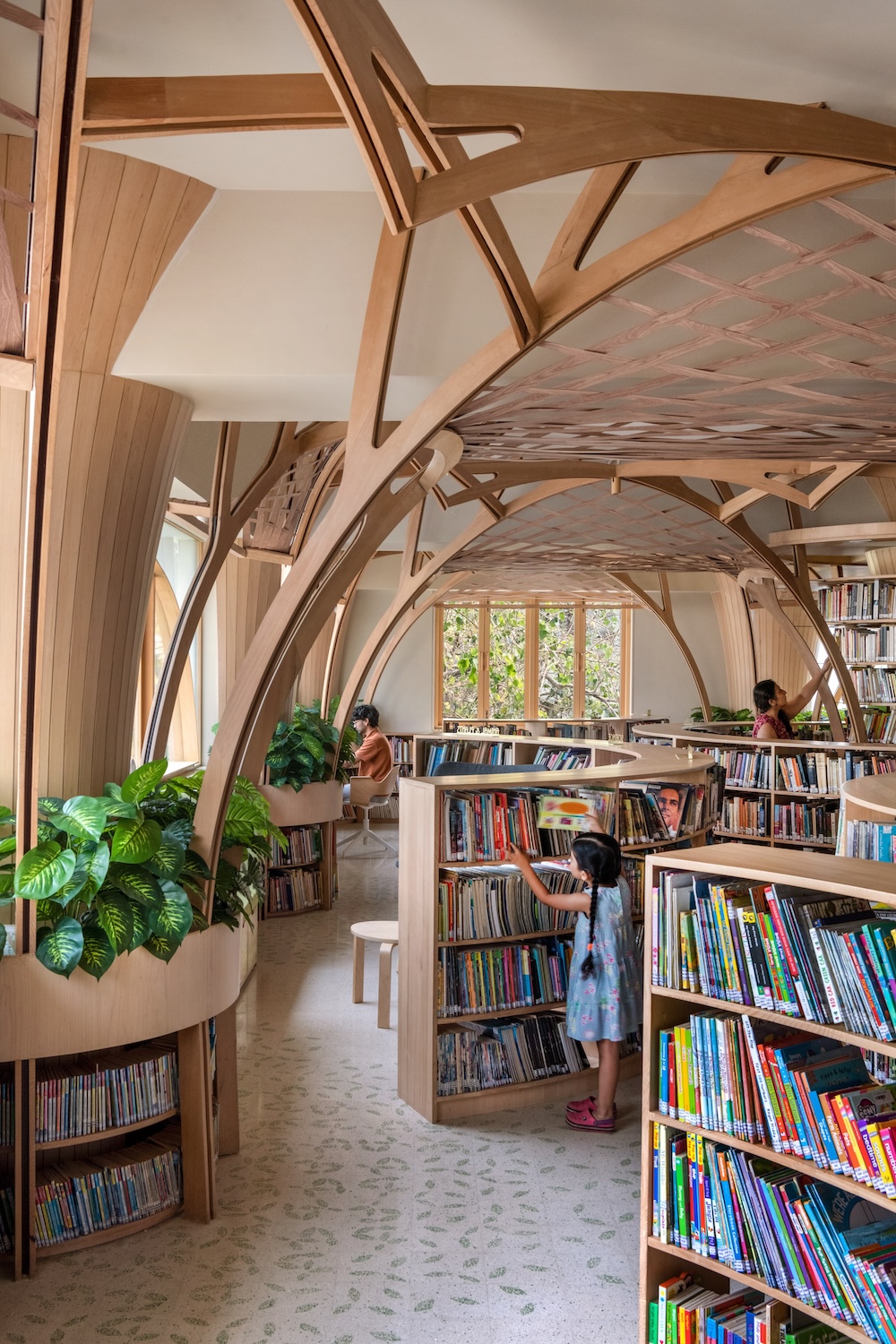 A Forest Of Knowledge: Re-Imagining The Library In A Digital Age