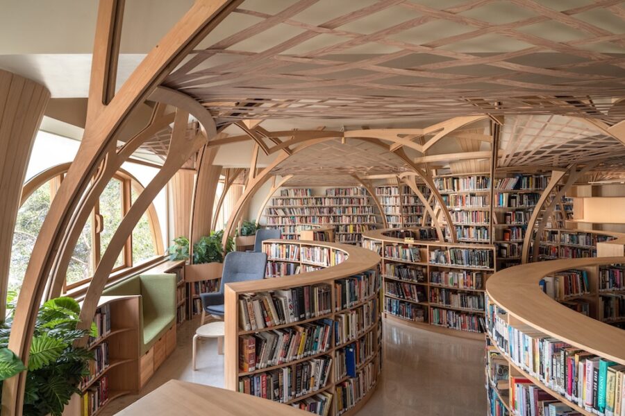 A Forest Of Knowledge: Re-Imagining The Library In A Digital Age